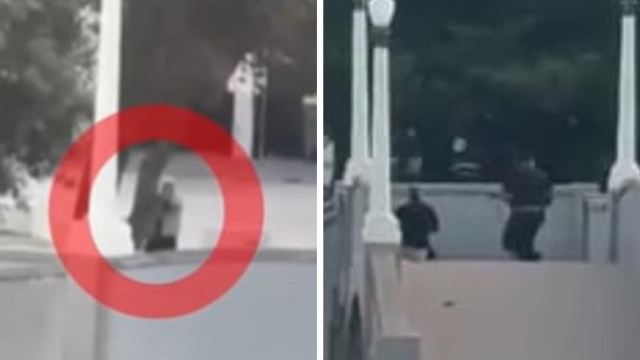 Cop filmed firing from behind thin tree