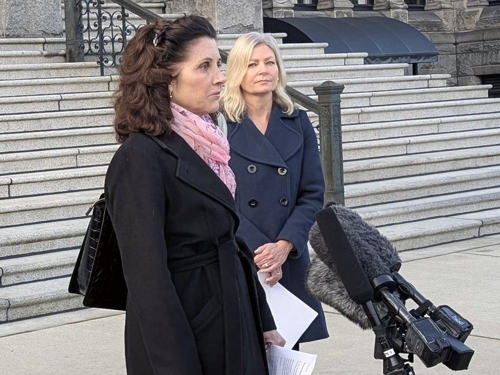 Dallas Brodie says she will fight to maintain hold of OneBC after being ...
