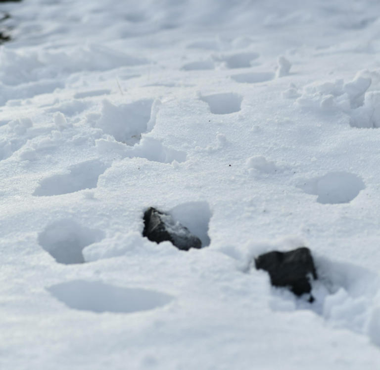 Snow settles in Tasmania as fires burn in state's east and north