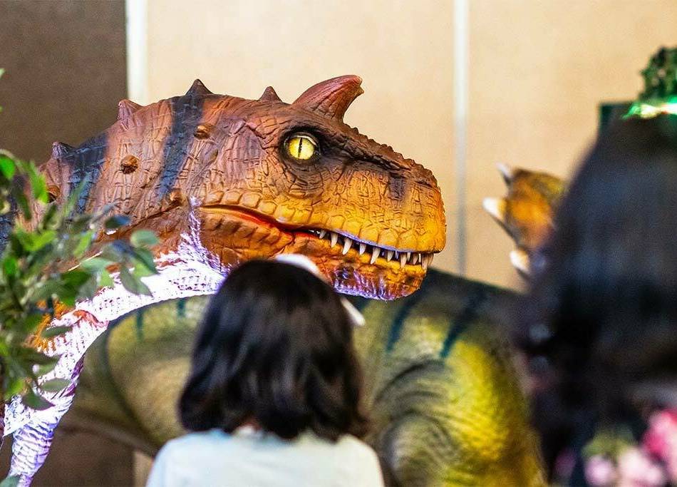 Dinosaurier-Show gastiert in Hückelhoven