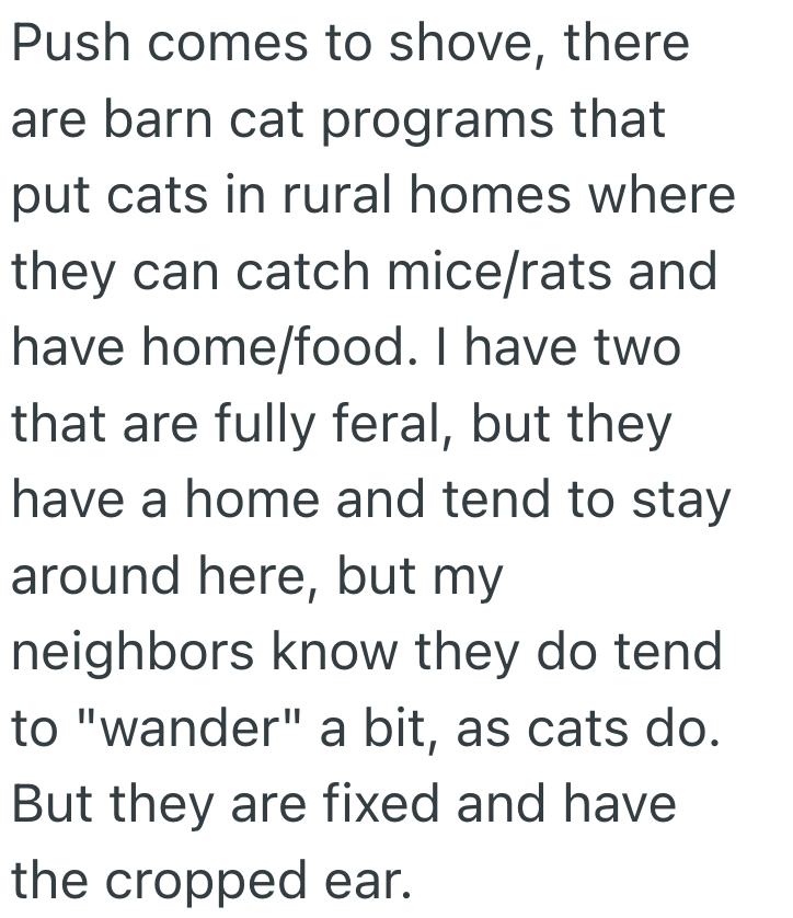 Stray cat finds a new home with a couple and their dogs, but even ...