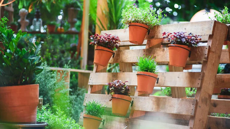 6 cara menata bunga di teras rumah sederhana, pasti indah!