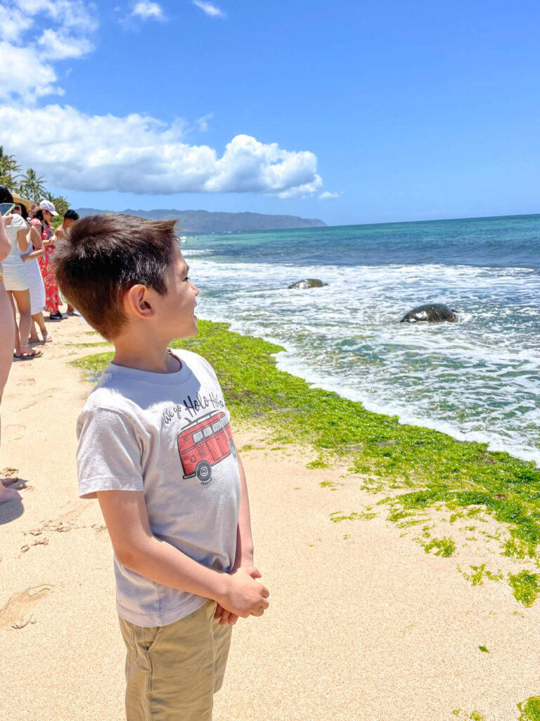 9 North Shore Oahu beaches that'll make your kids beg to stay longer