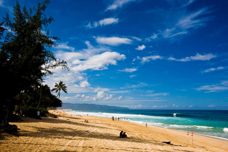 9 North Shore Oahu beaches that'll make your kids beg to stay longer