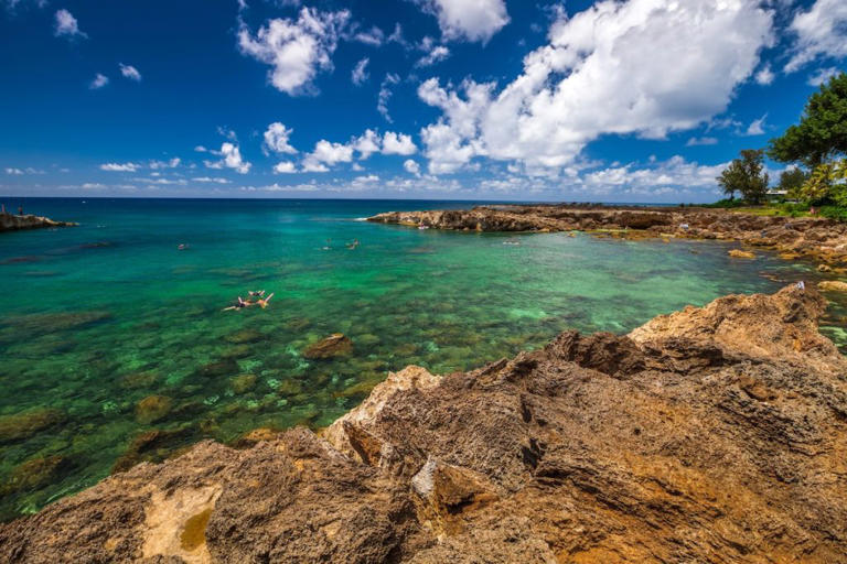 9 North Shore Oahu beaches that'll make your kids beg to stay longer