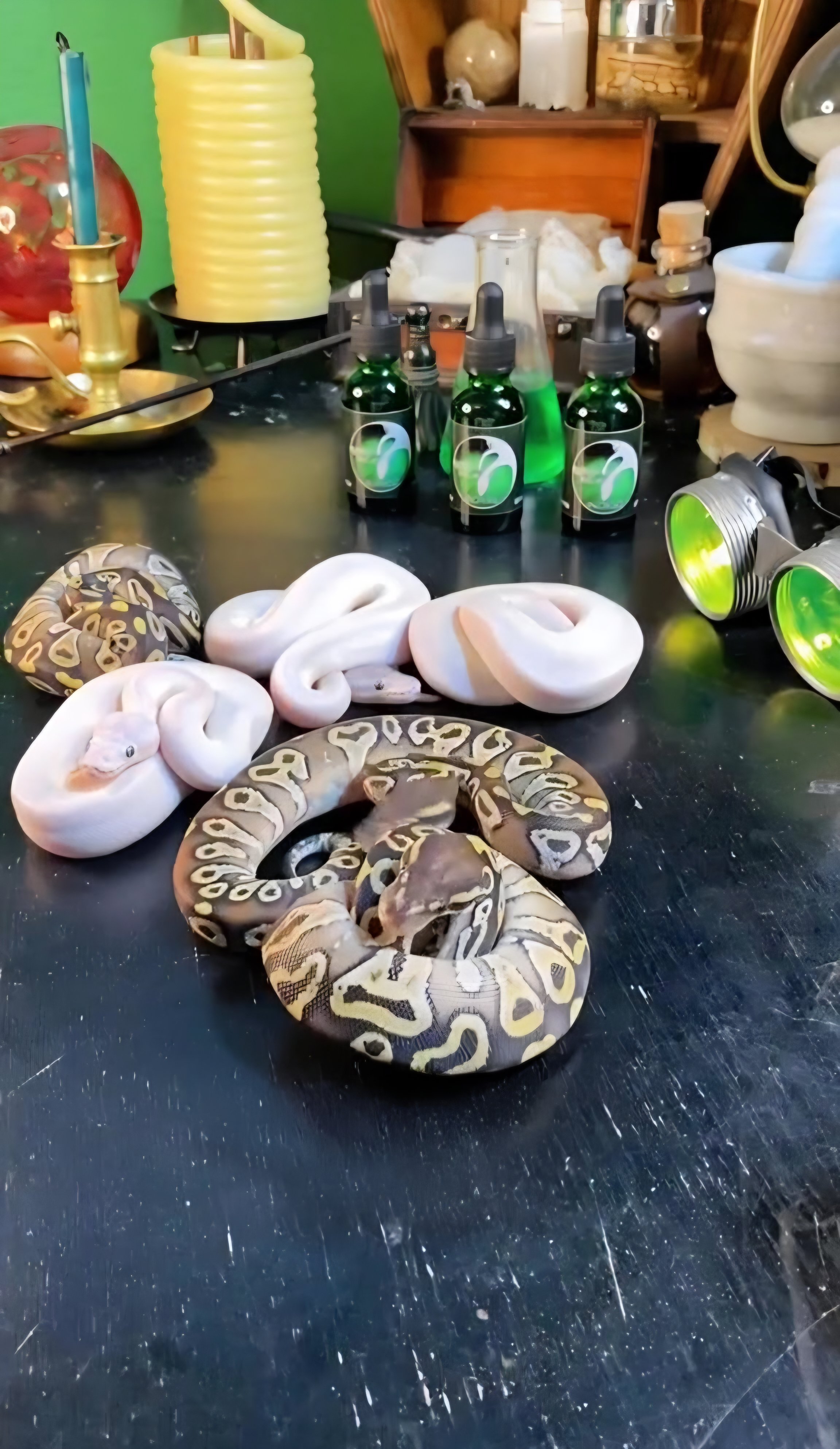 A few feeding tricks!