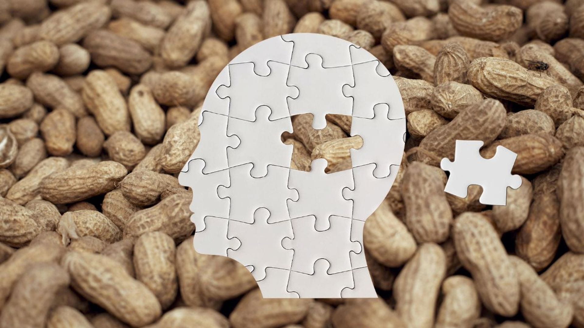 Peanuts may boost brain blood flow and memory in older adults