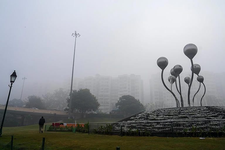 Delhi NCR weather update: Cold wave, dense fog, and severe air quality