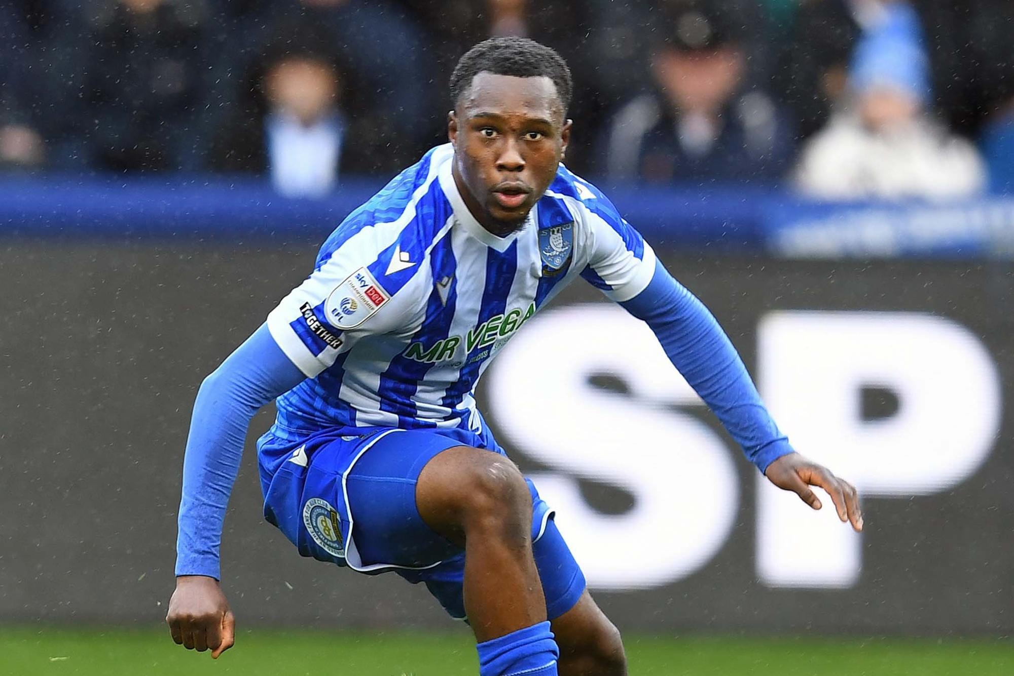 Sheffield Wednesday v Derby County: Henrik Pedersen happy with culture ...