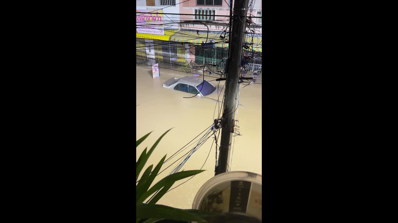 Neighbours shocked by python gliding through flooded street in Thailand