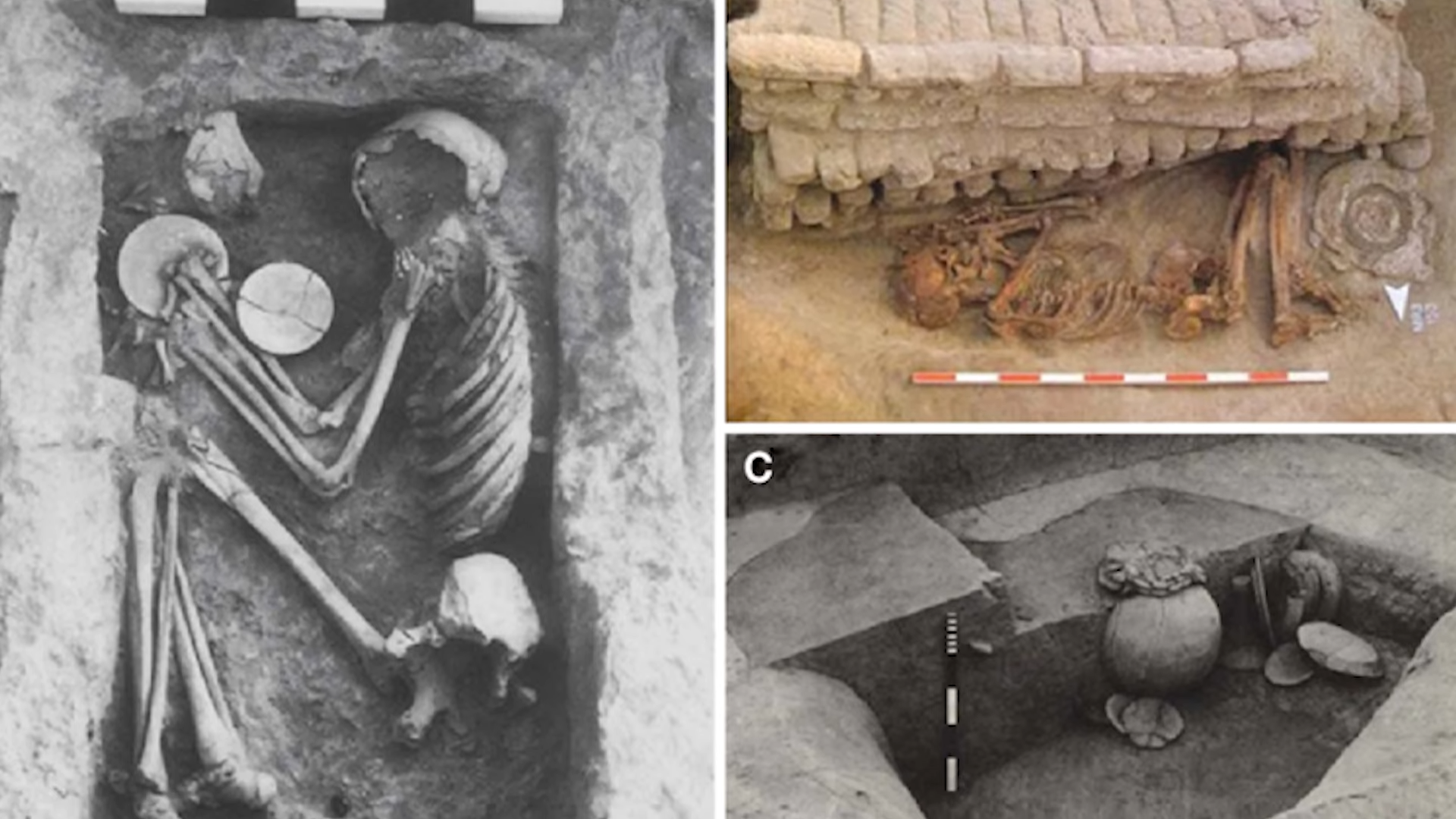 Why the Harappans vanished: Secrets of a lost civilization