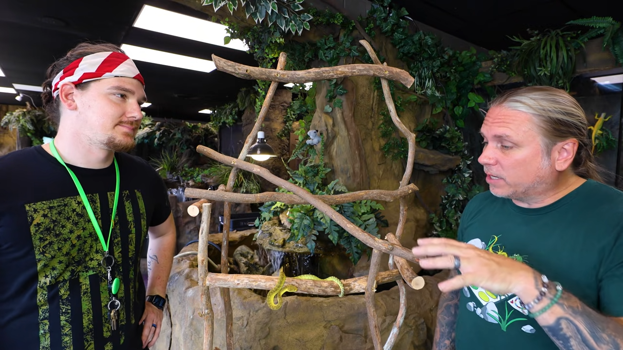 What happened when a visitor entered a zoo zone ruled by deadly cobras