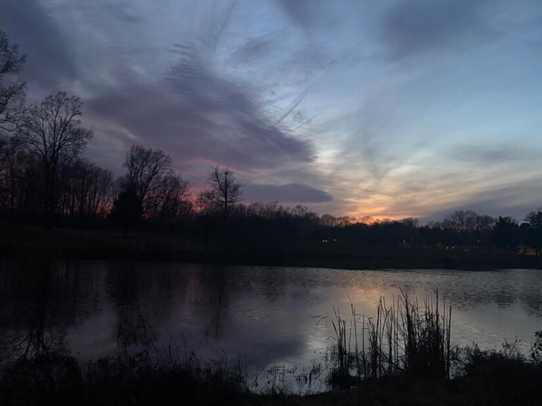 🌱 Patch AM: Craft club: Book binding and 14 more events