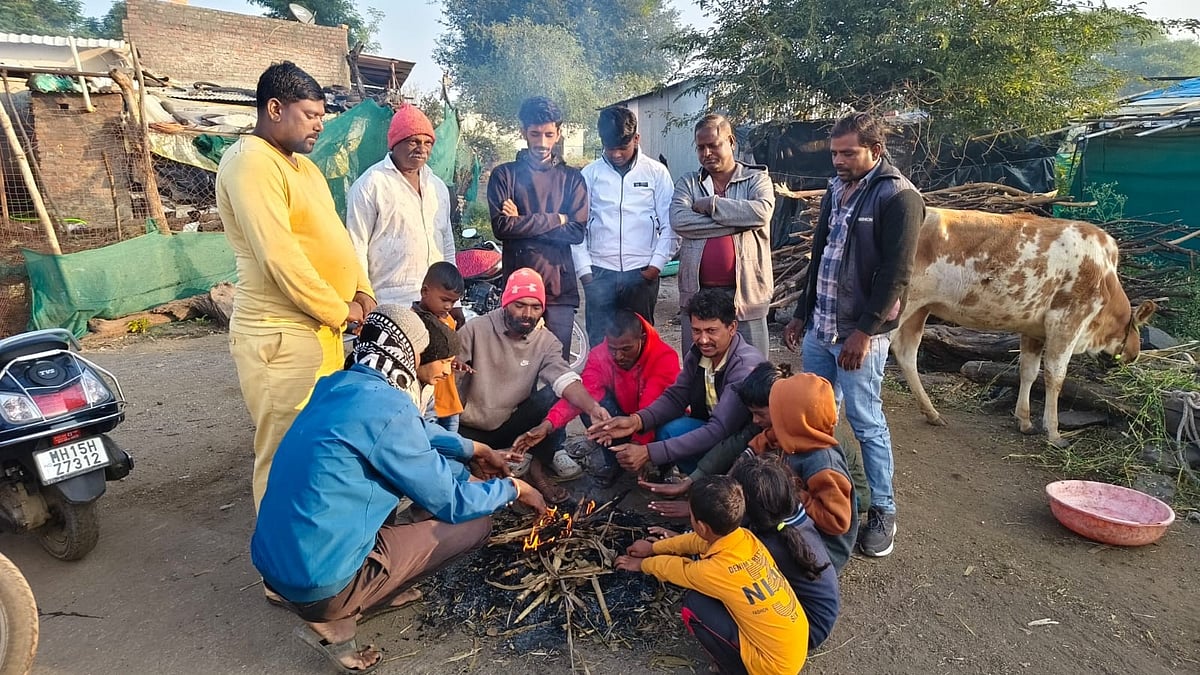 Cold wave in India: IMD issues alert in these regions; check ...