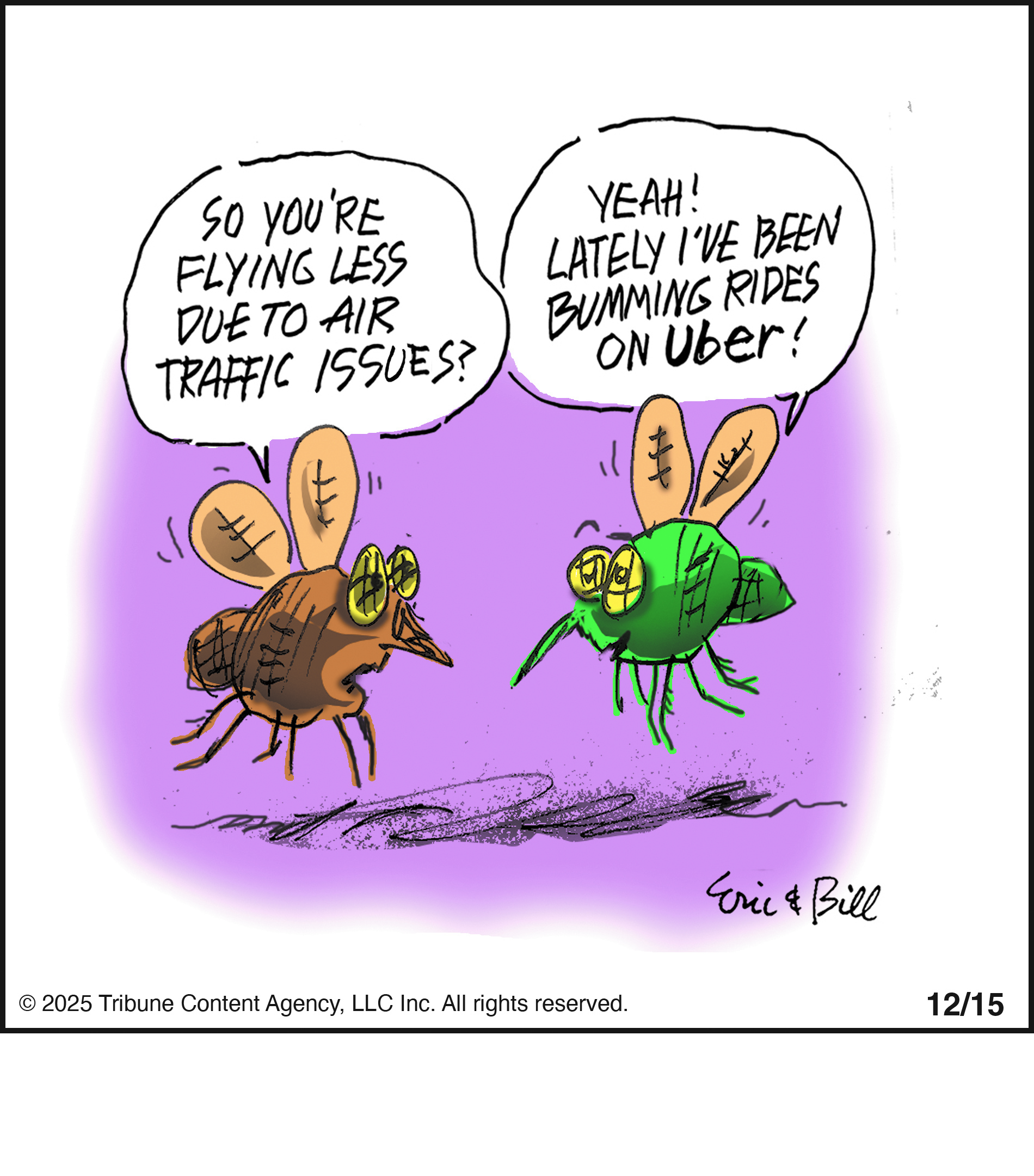 Bottom liners by Eric and Bill Teitelbaum