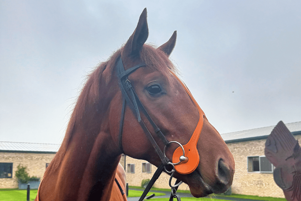 Racing Club introduces festive newcomer 'From Me to You' ahead of 2026 ...