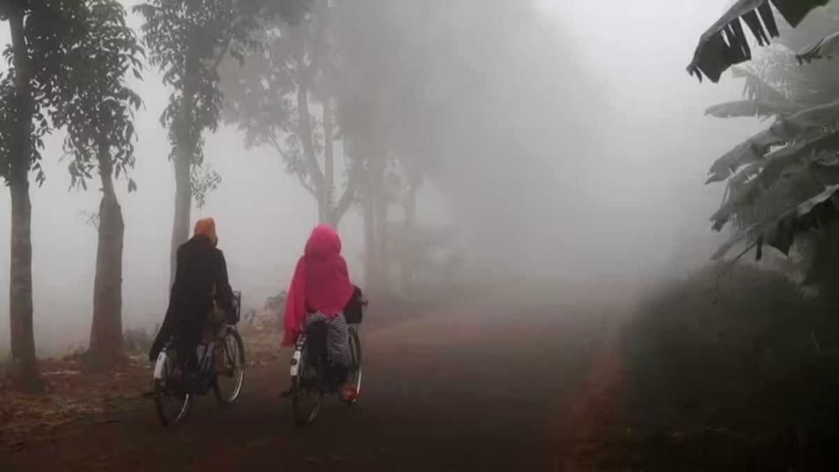 Why is fog worse in cities than rural areas? The science behind it