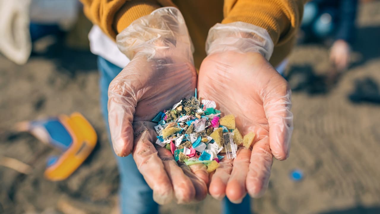 New research reveals land releases over 20 times more microplastics ...