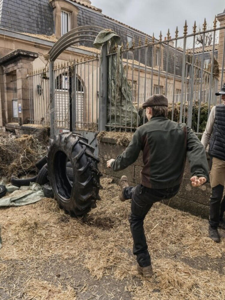 L'epidemia tra i bovini in Francia diventa un caso politico