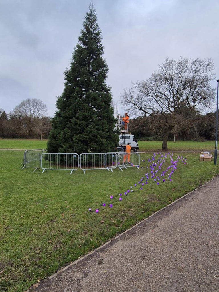 'Christmas is cancelled!' Fury erupts after tree lights dumped in brook ...