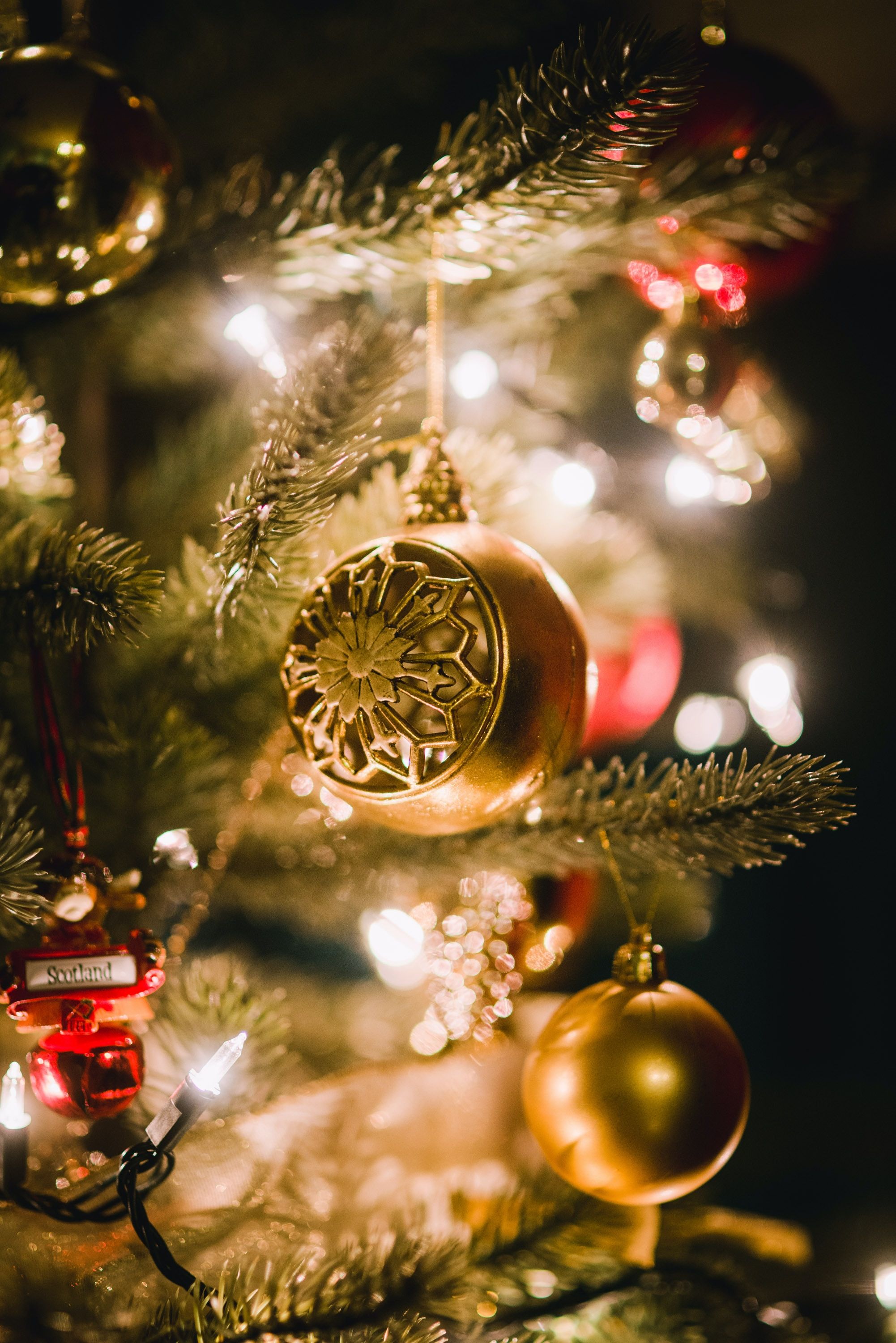 Real families, weird and heartwarming Christmas routines
