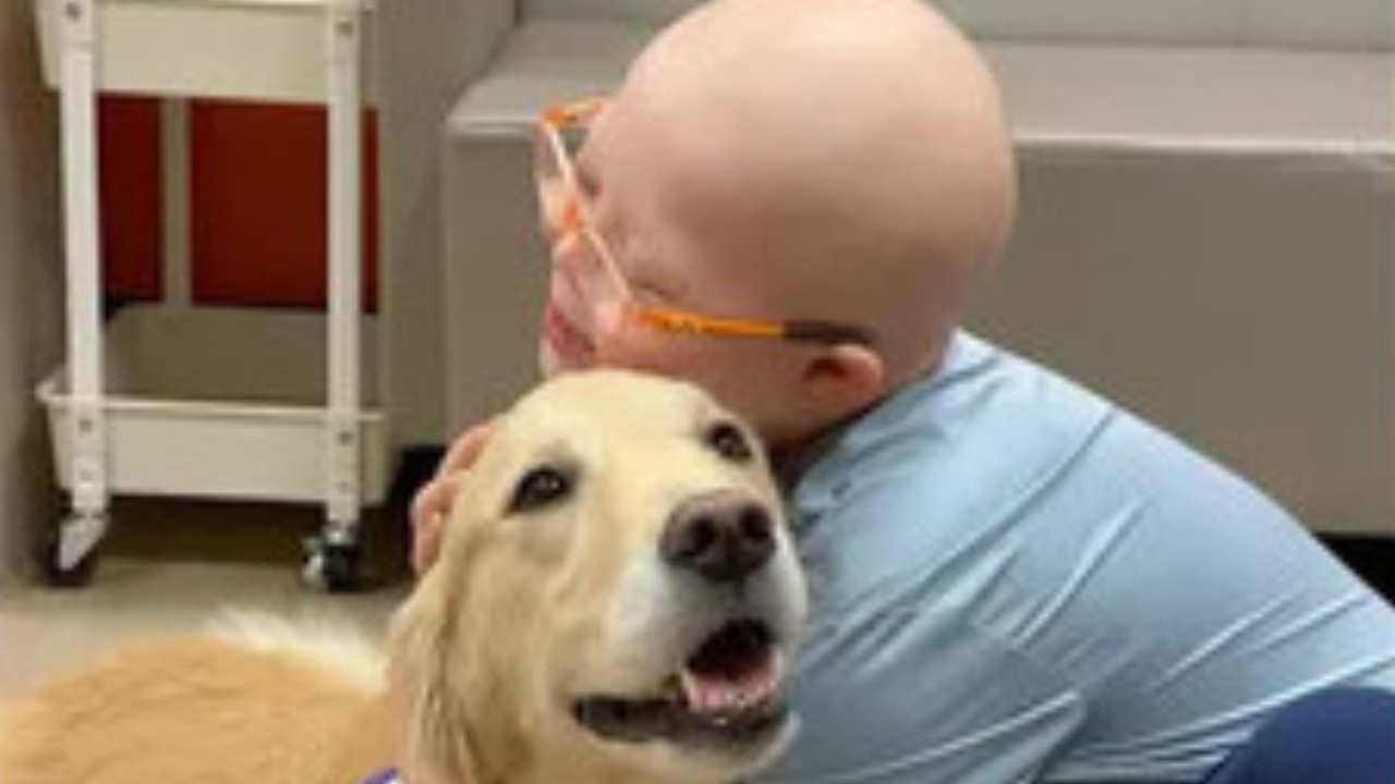 Therapy dog surprises a brave boy fighting leukemia