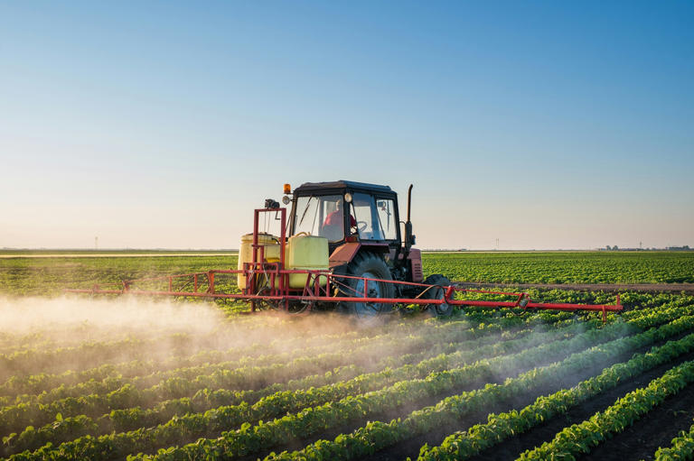 EPA PFAS news: Agency approves cancer-linked chemical for use on food crops