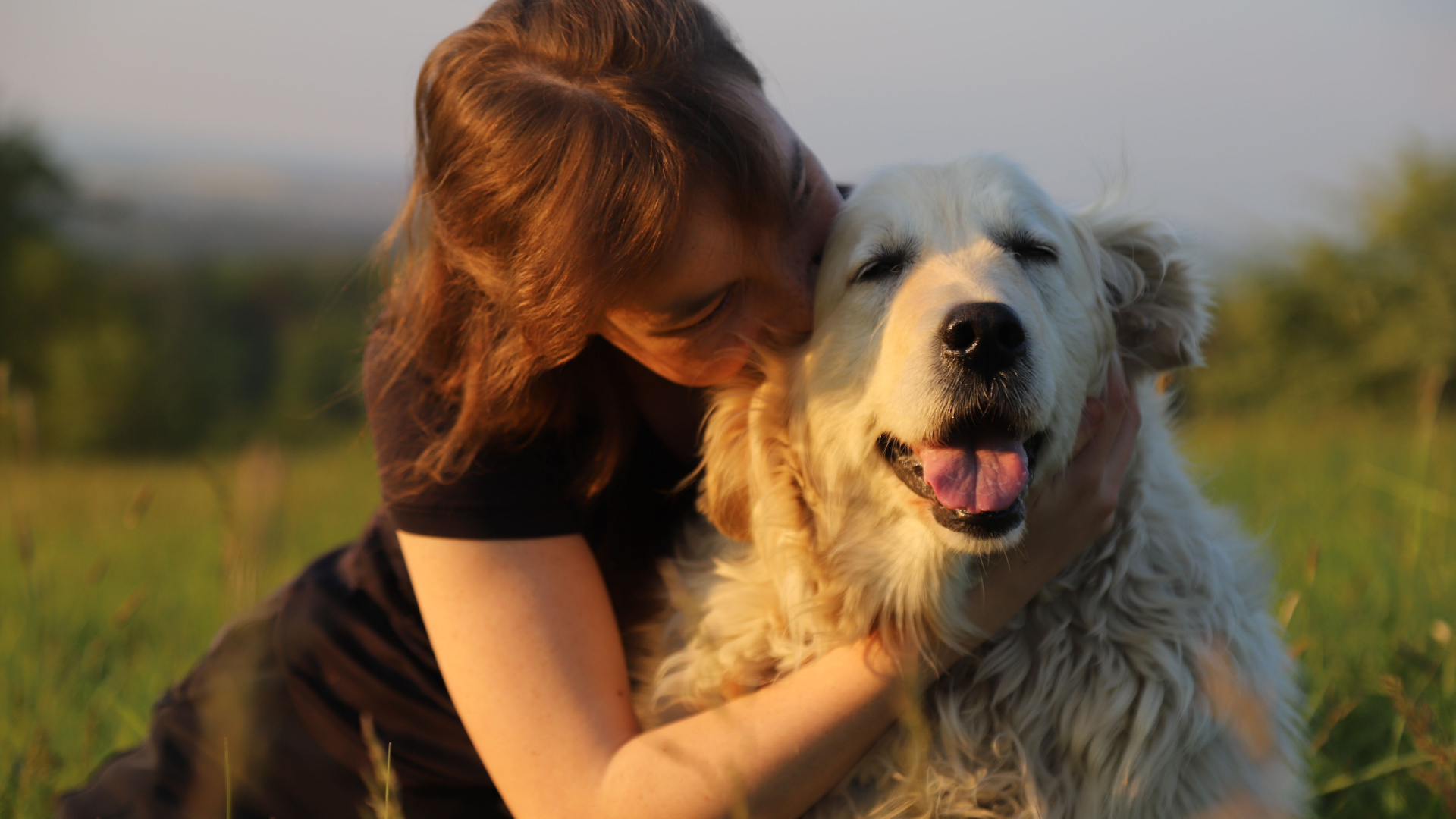 10 signs your dog thinks you’re part of their pack