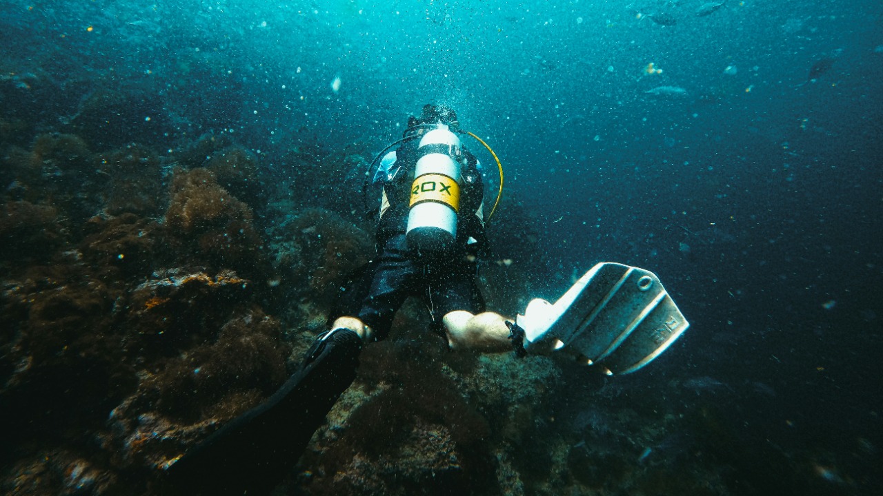7,000-year-old sea walls near France hint at advanced planners