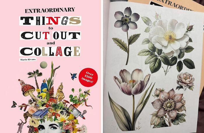 For the friend who collects hobbies like they’re infinity stones, here ...