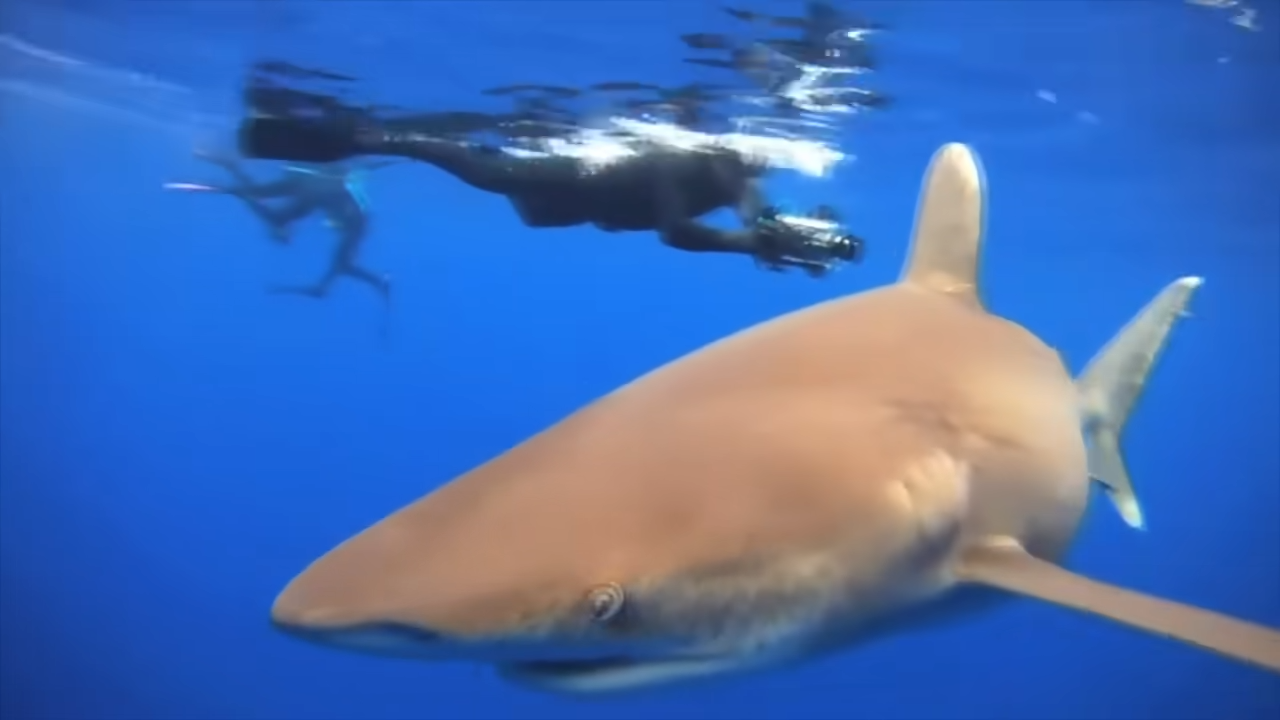 Why the Cameron Robbins footage remains so controversial