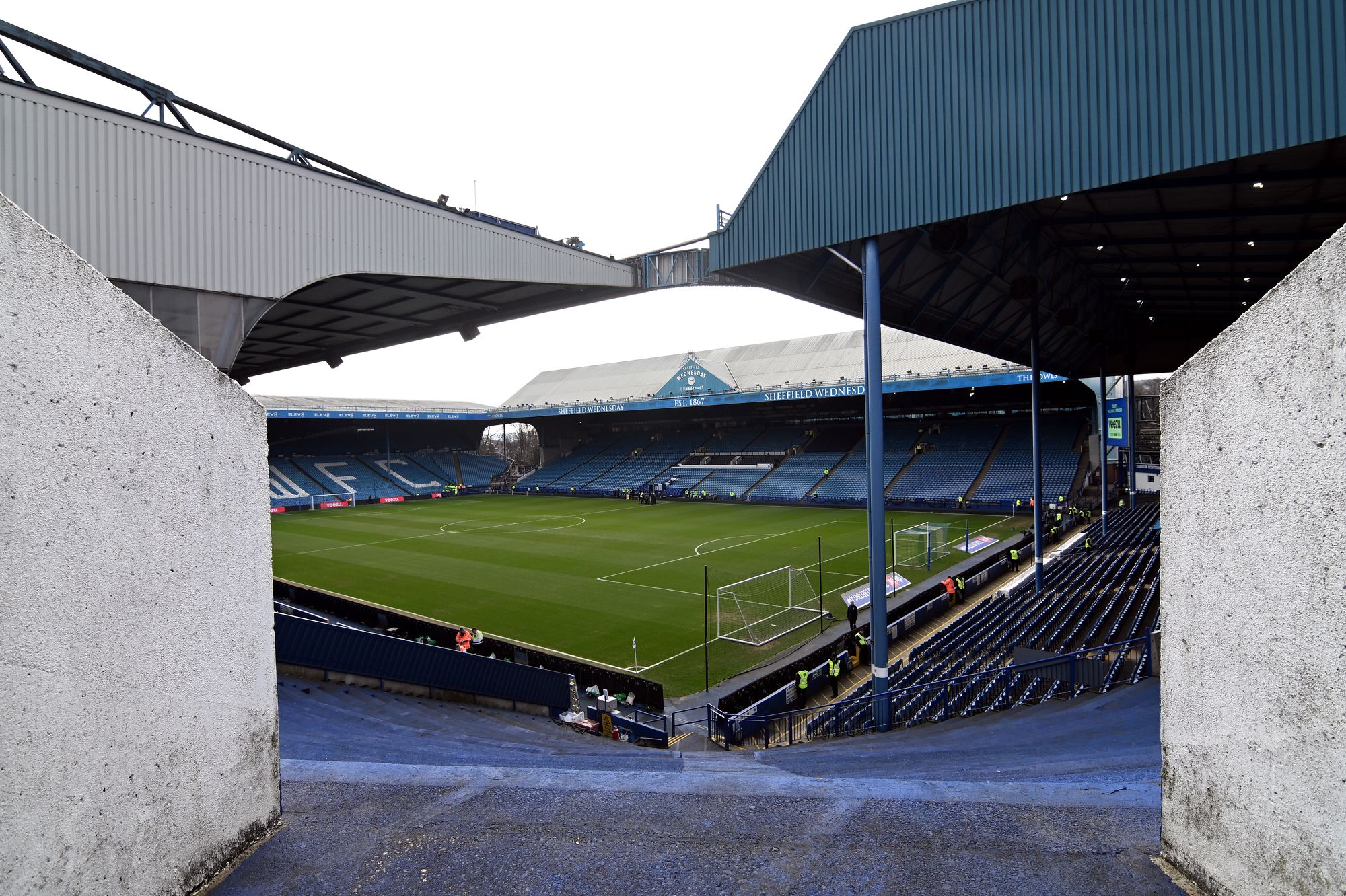 Sheffield Wednesday takeover latest: John McEvoy, Storch family, Mike ...