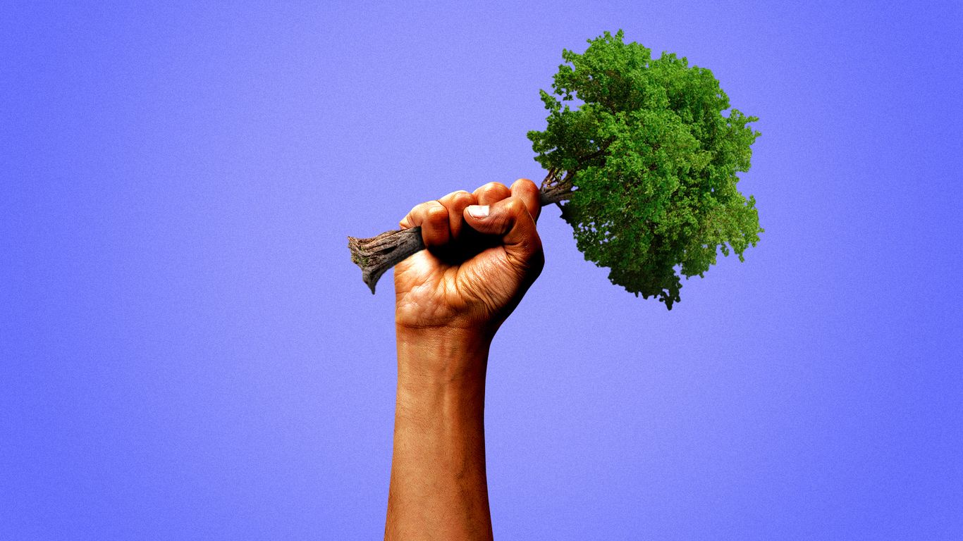 Trees for the Triangle in Raleigh wants to plant 50K trees by 2050