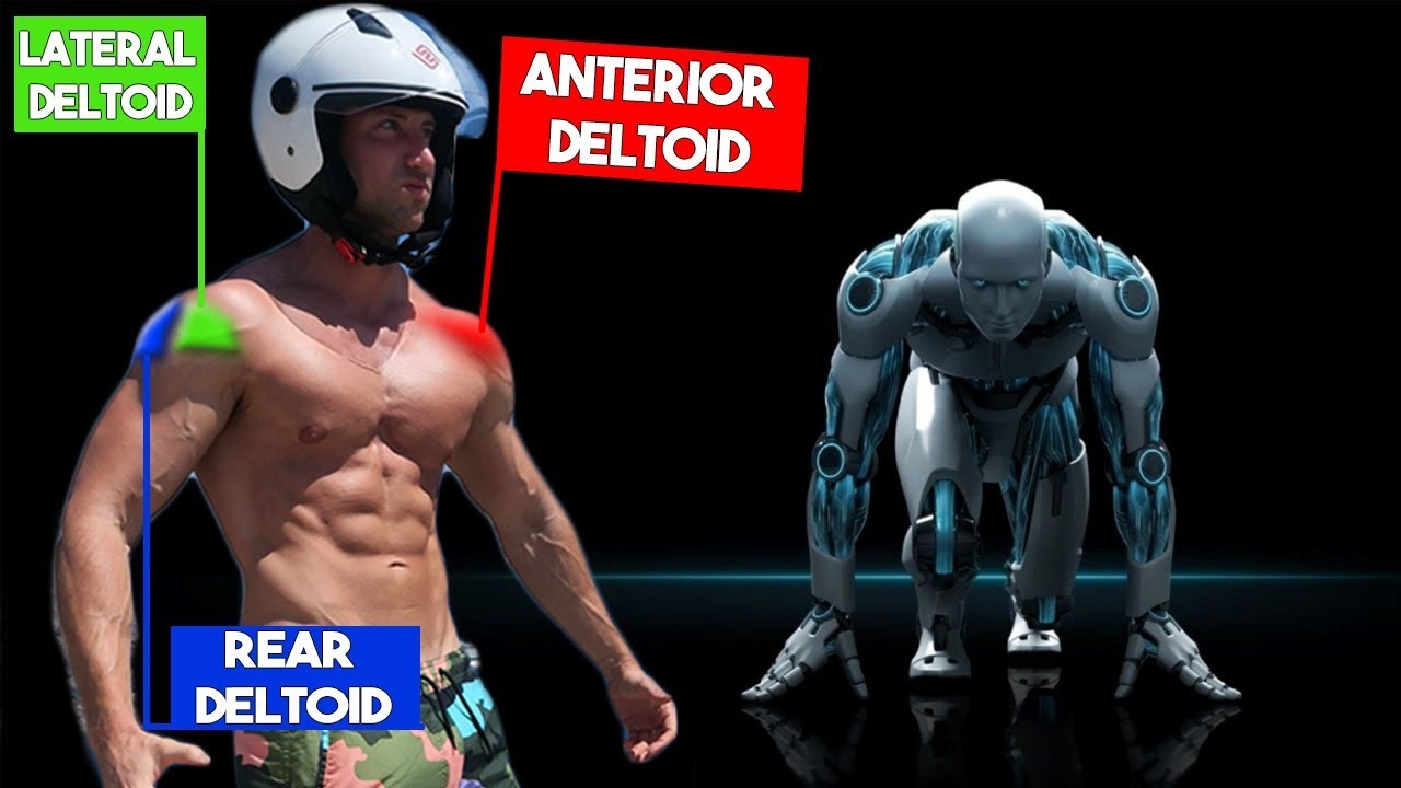 The best science-backed shoulder workout