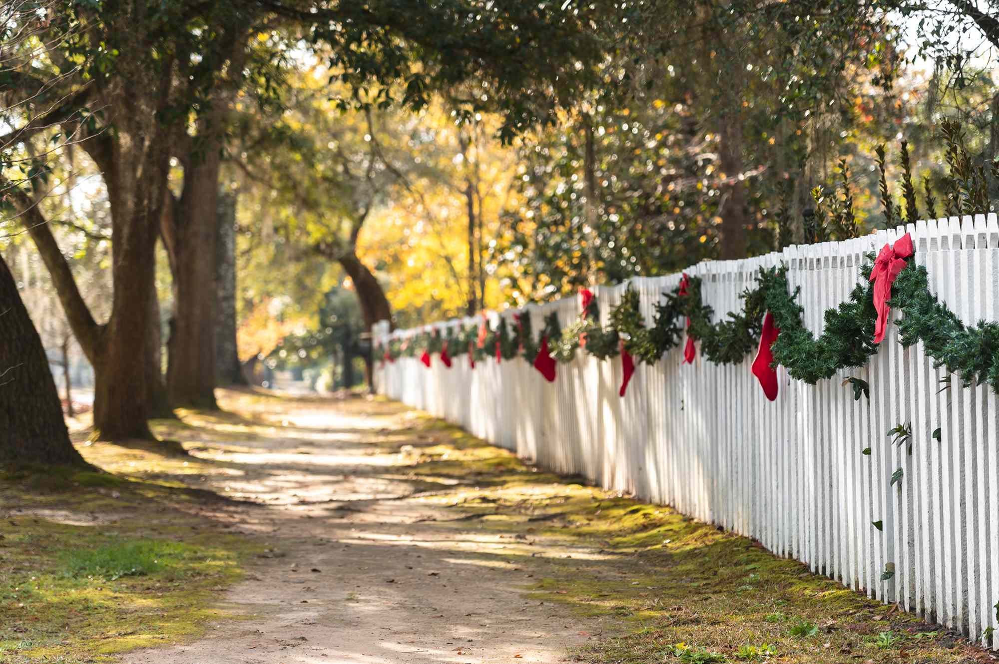 I’m from the South and this is the best place to celebrate Christmas ...
