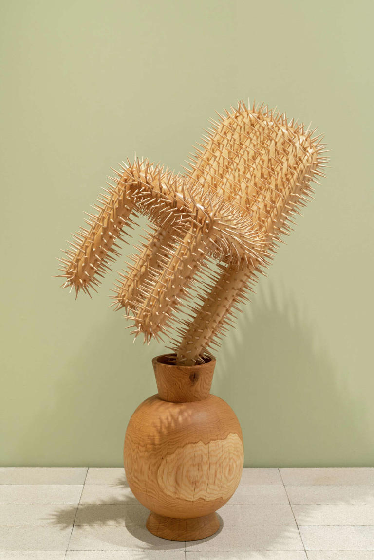 Thorned wood sculptures at the Contemporary Austin turn Texas flora ...