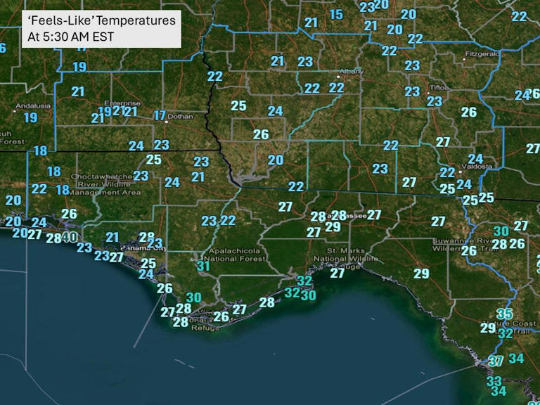 Freeze warnings in effect for some Florida counties. How cold did it get?