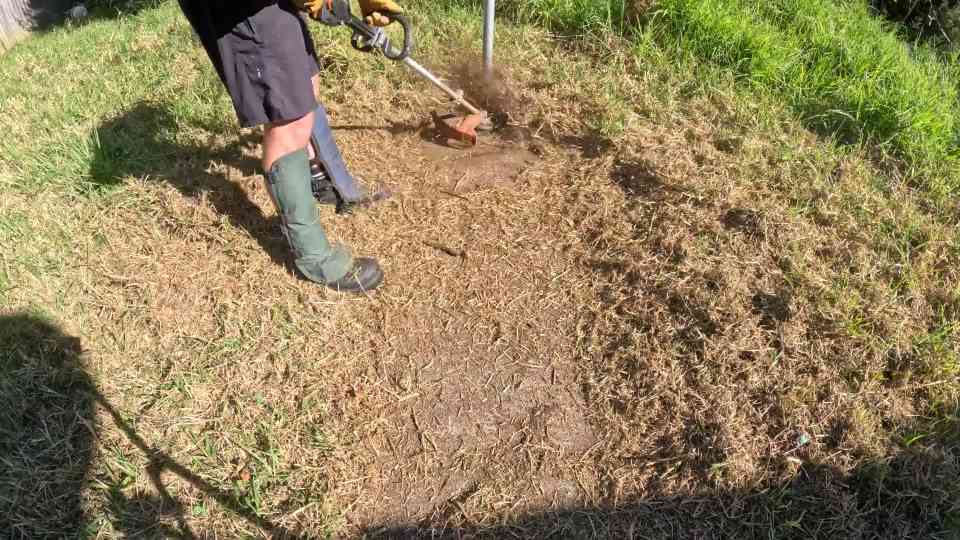 Complaints about your yard