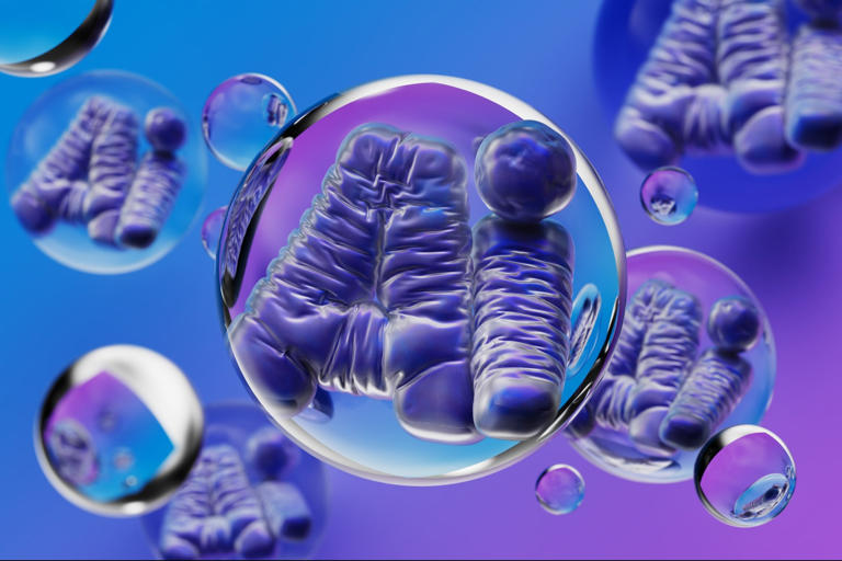 GenAI feels familiar — because it's the internet boom all over again