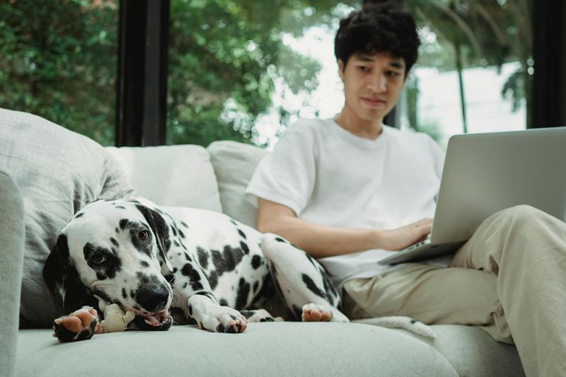 12 subtle things you do that confuse your dog
