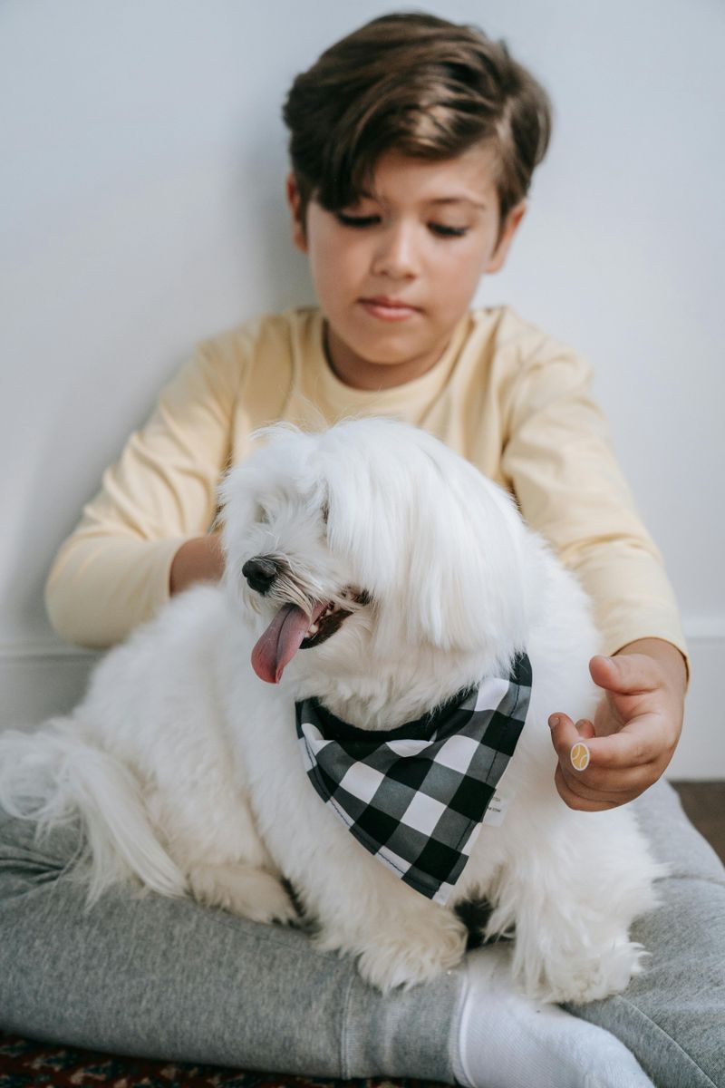 13 dog breeds that are clingy in the cutest way