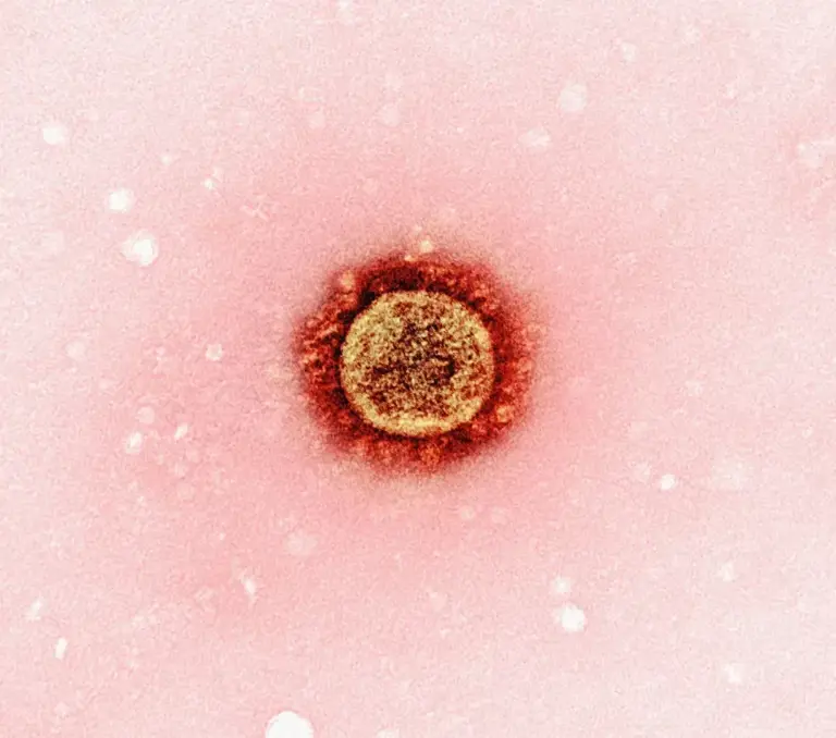 6 ancient viruses thawing from permafrost: A new threat?