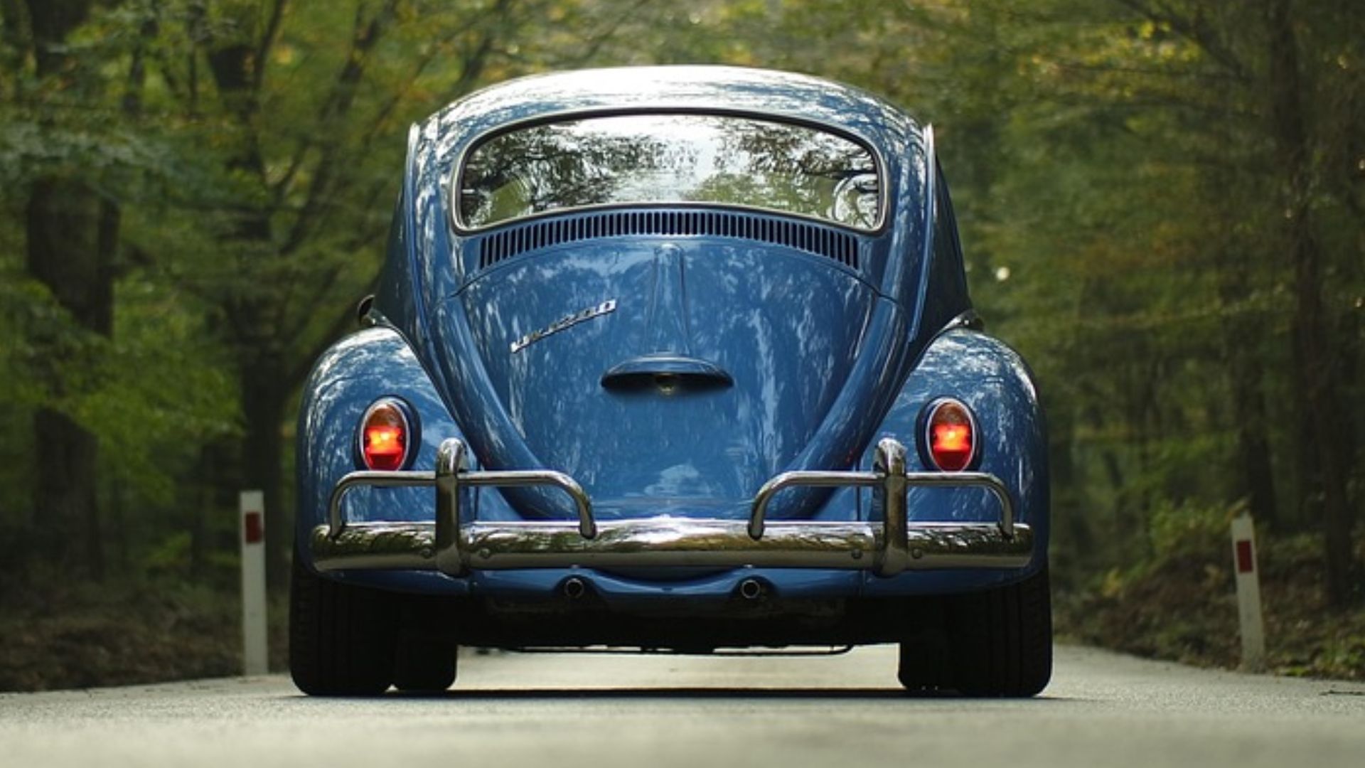 10-things-to-always-pack-for-a-road-trip-10-to-leave-at-home