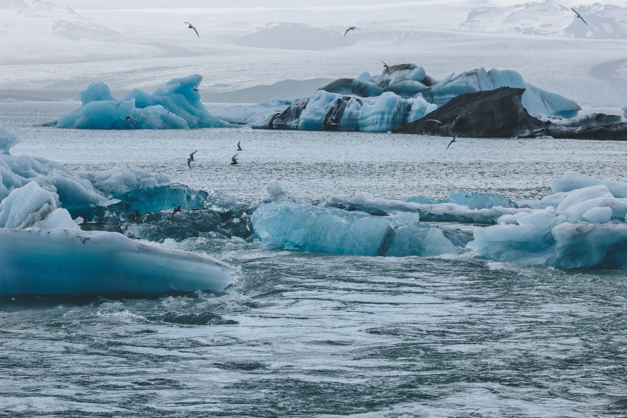 Strange things found melting in glaciers