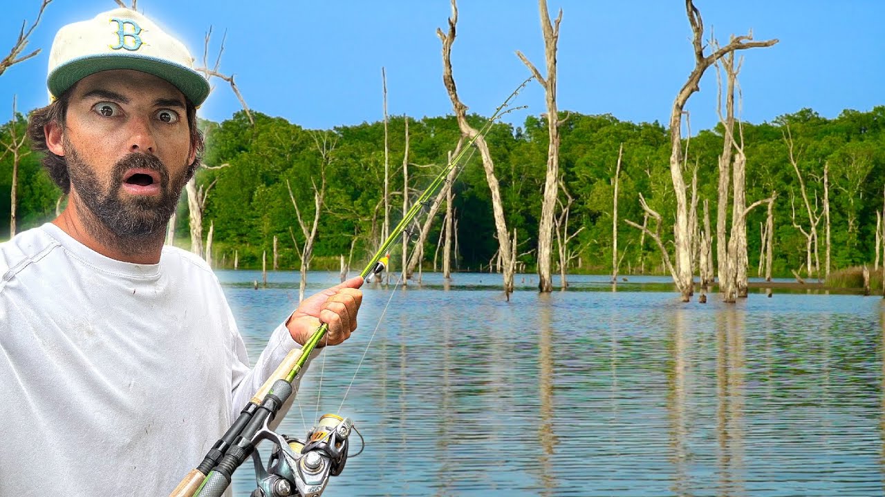Flooded trees hide biggest monster catch of year