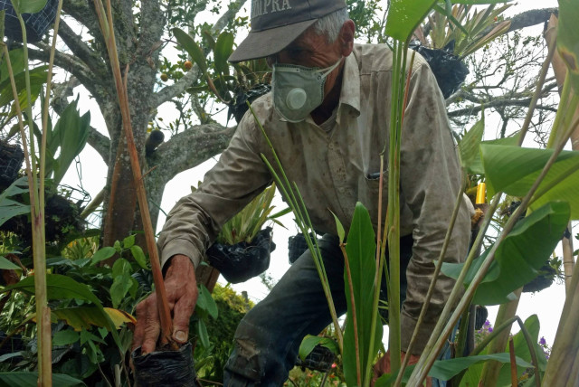 Paneles solares sobre cultivos reducen el estrés térmico y mejoran la ...