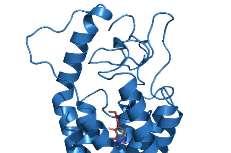 Cracking the code of a hidden cancer receptor: How scientists found the ...