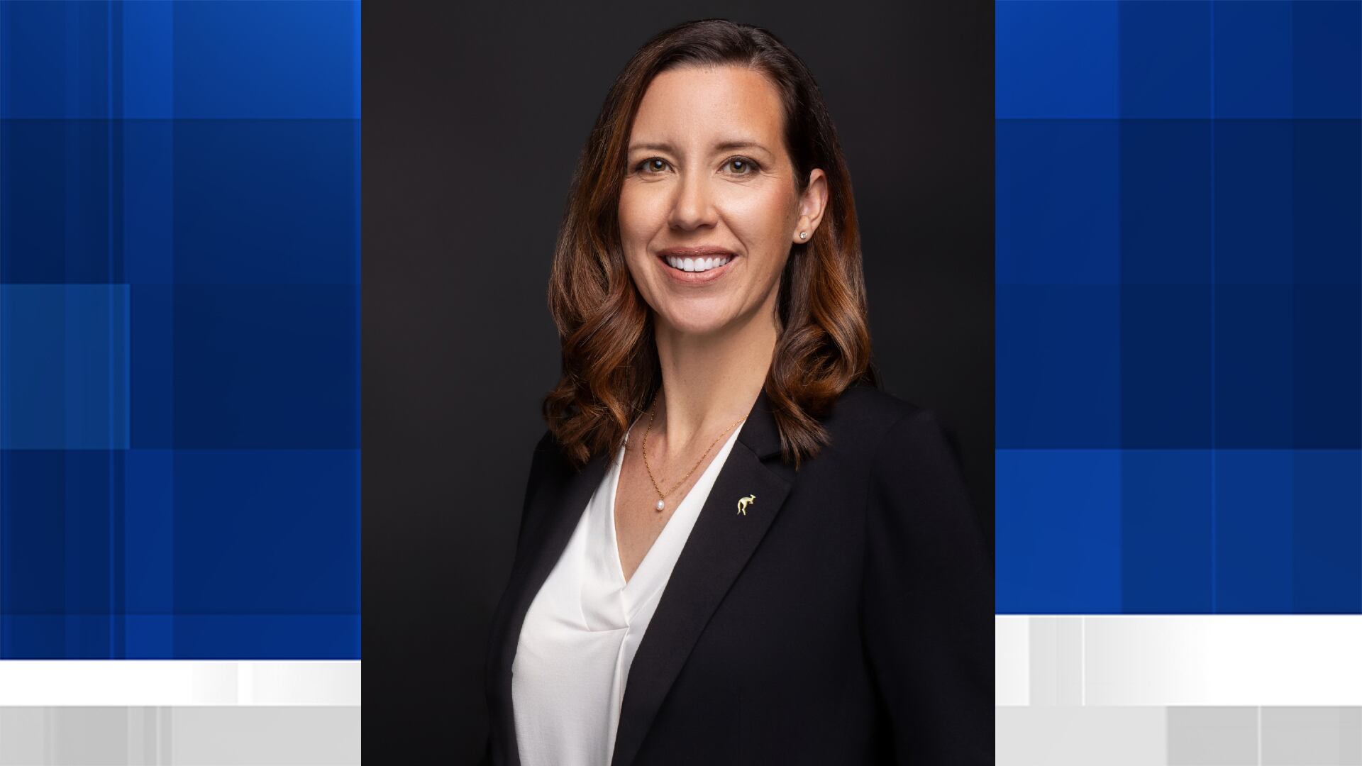 Austin College announces 17th president