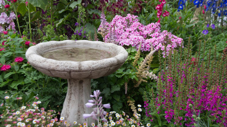 Forget classic bird baths: This DIY water feature adds a splash of ...