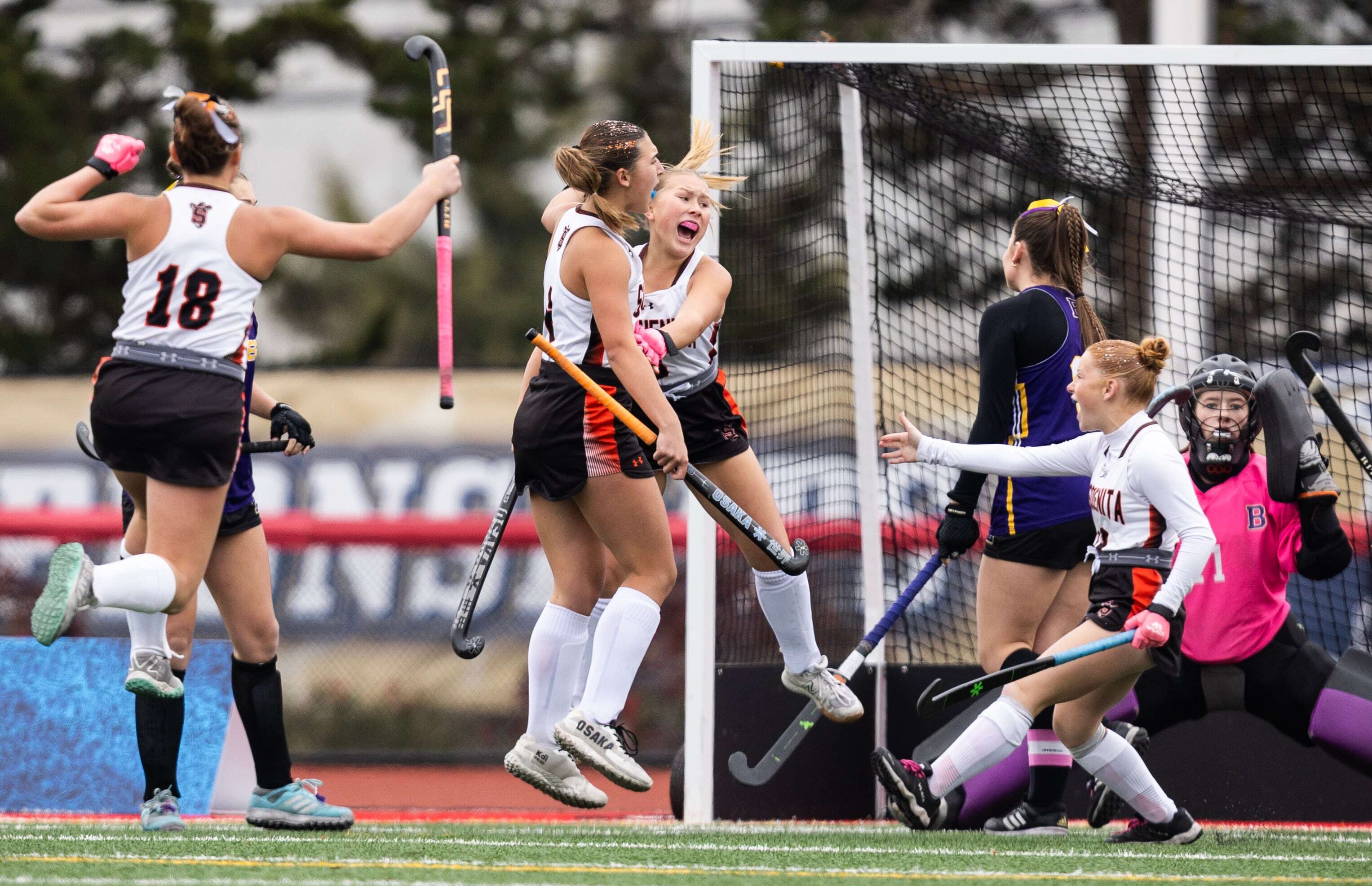 Pa. High School Field Hockey Coaches Association announces all-state teams